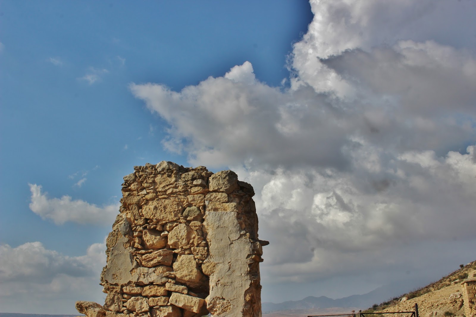 Biodiversity of Cyprus by NGO Protection of the Natural Heritage and ...