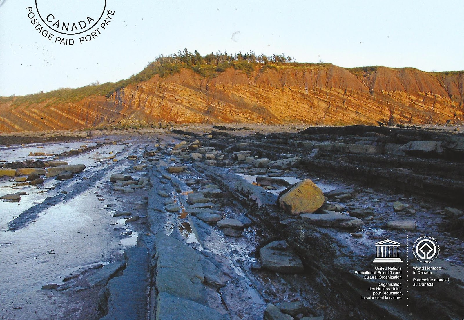 A Journey of Postcards: Joggins Fossil Cliffs | Canada