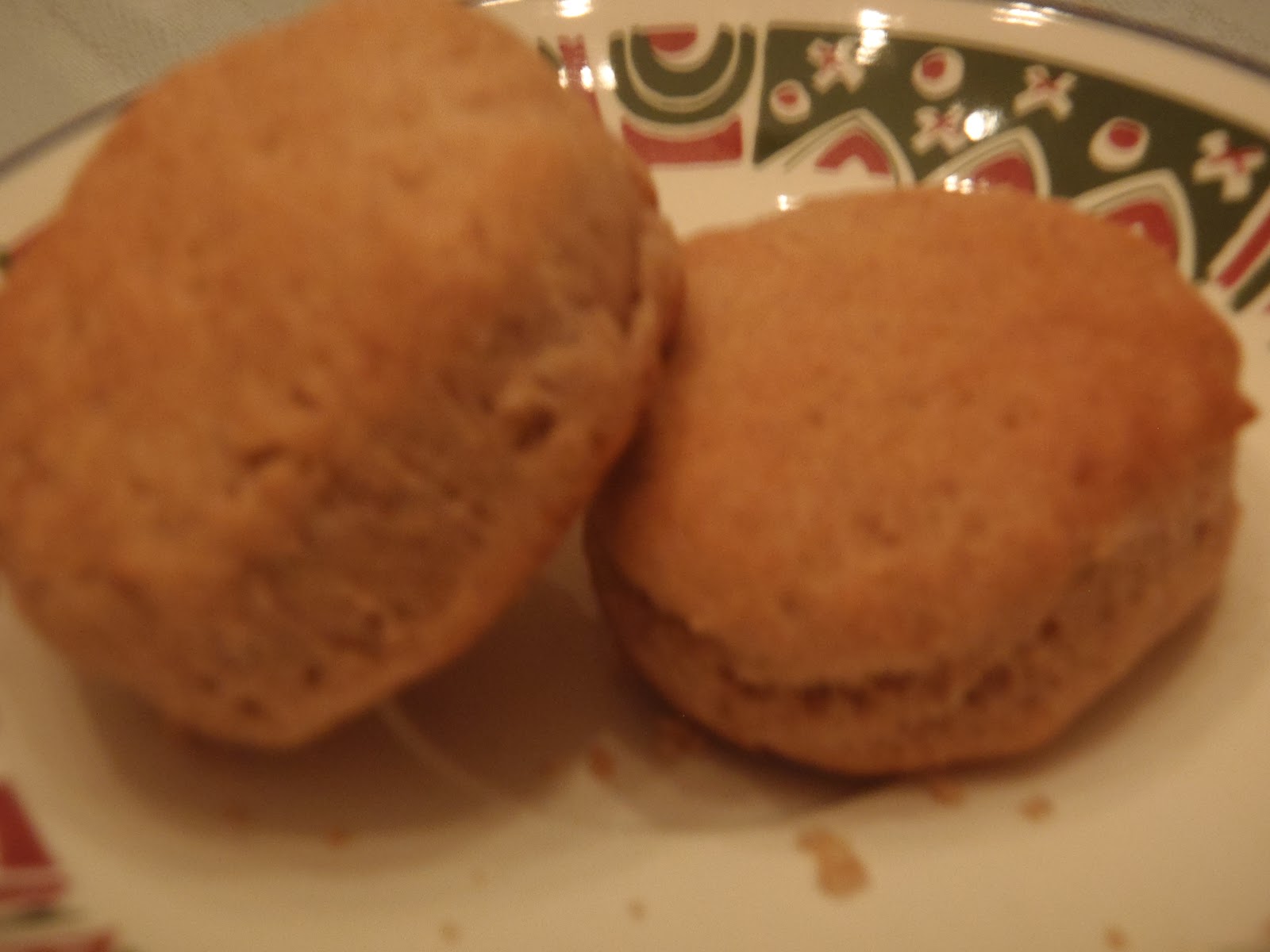 Kosherfrugal.com - Frugal Living in Israel: My super easy whole wheat ...