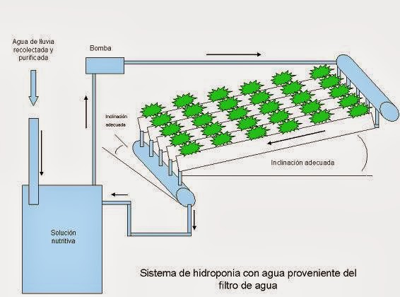 cultivo em hidroponia,curso hidroponia,hidropônicos,cultivo de ...