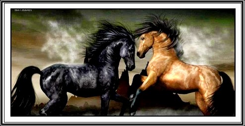 Ehil Kalem: At Resimleri