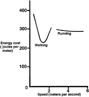 running commentary?: Fun with physics