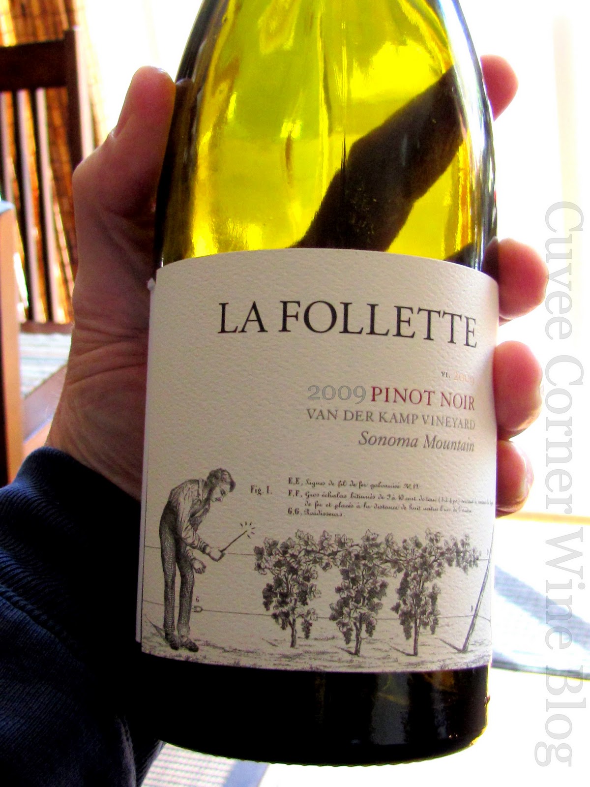 Wine of the Week: 2009 La Follette Van Der Kamp Vineyard Sonoma ...