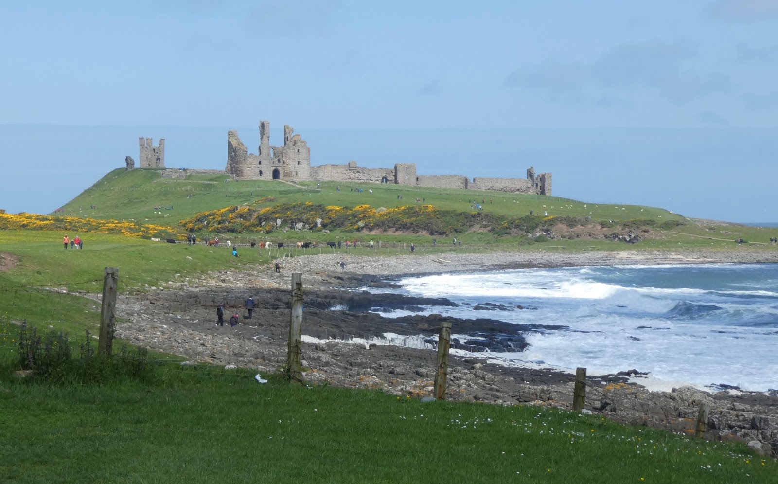 Craster to Dunstanburgh Castle | a four mile walk with kids | North ...