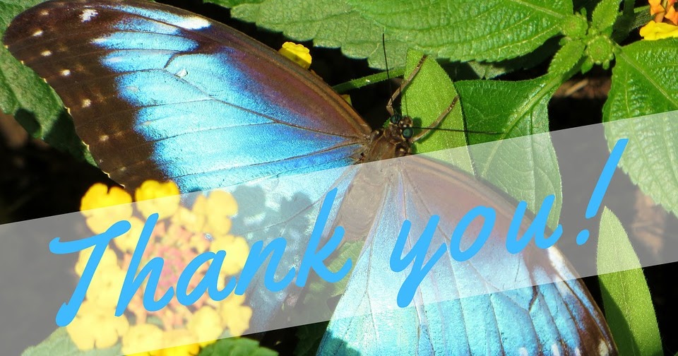 Frugal Freebies: September 21st Special Days - Featuring Gratitude ... Frugal Freebies: September 21st Special Days - Featuring Gratitude ...