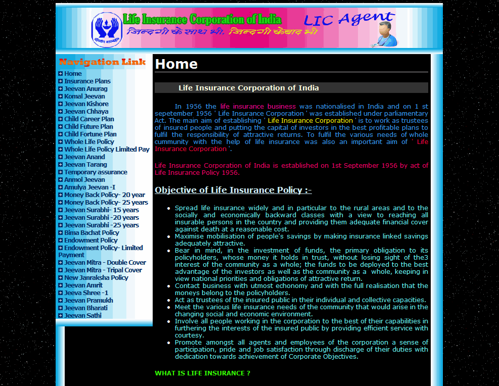 MY IDEA - ASHU PROJECT: L.I.C. Agent (Visual Basic.NET)