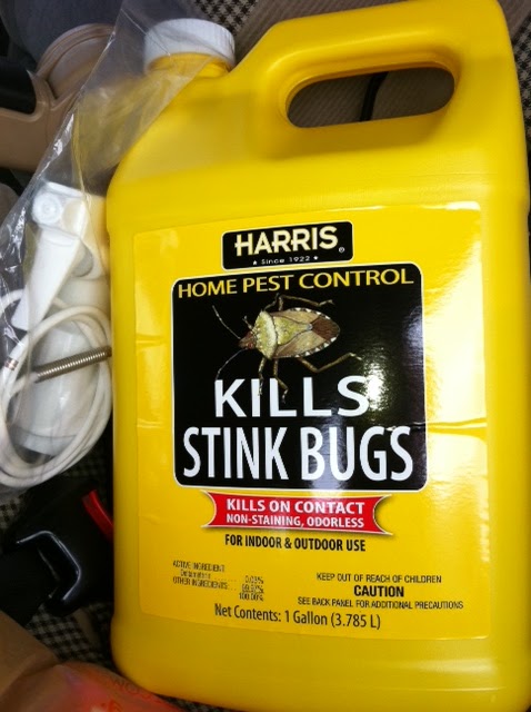 The Stink Bug Watch: STINK BUG SPRAY IS HERE>>>>