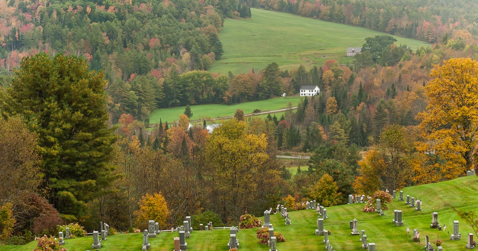 Lyn Scott's Photo Blog