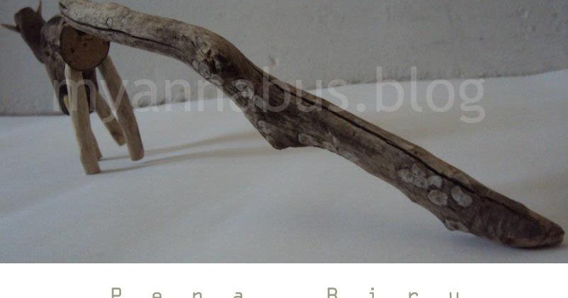 My Annabus: Memori Semalam : Arca Kayu Hanyut