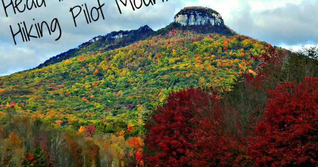 Homeschool On the Range: Hiking Pilot Mountain