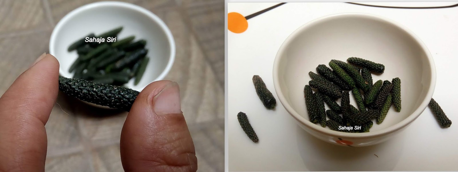 Fresh Hippali/ pippali tambuli/ Long pepper tambli