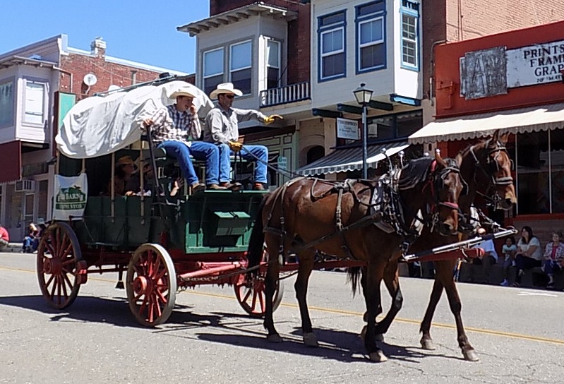The American Cowboy Chronicles: "Days of '49" Wagon Train Parade