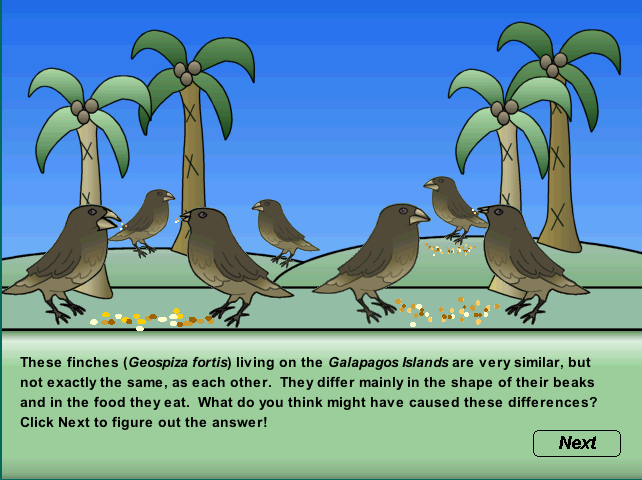 Biology: Evoblog 4 Weblab Natural Selection