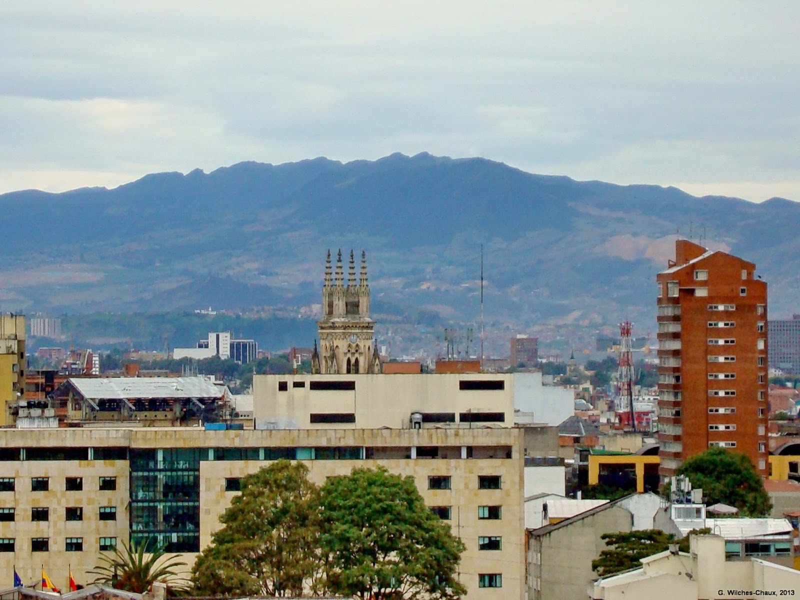 LA ESPECIE URBANA: BOGOTÁ