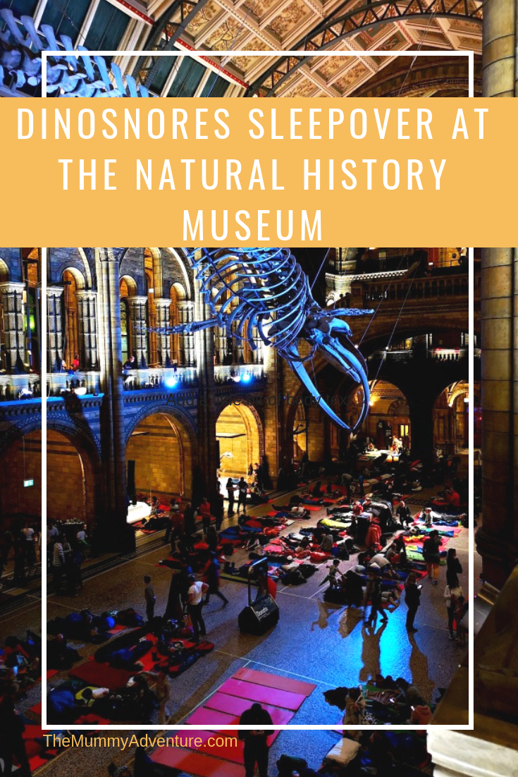 The Adventure of Parenthood: Dinosnores Sleepover at the Natural ...