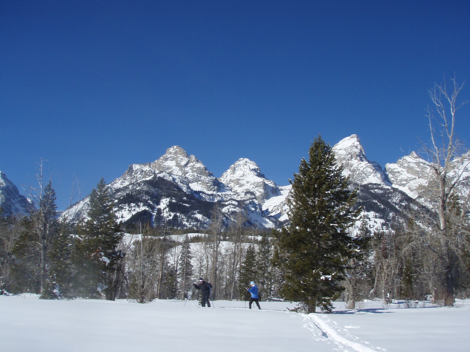 Cross Country Skiing Grand Teton National Park at Ruth Madison blog