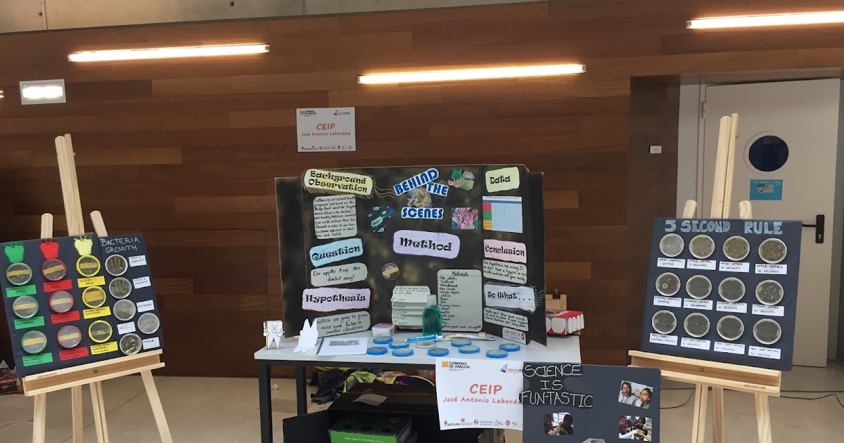 SCIENCE FAIR ARAGON: PREMIO CIENCIA EN ACCIÓN 2017