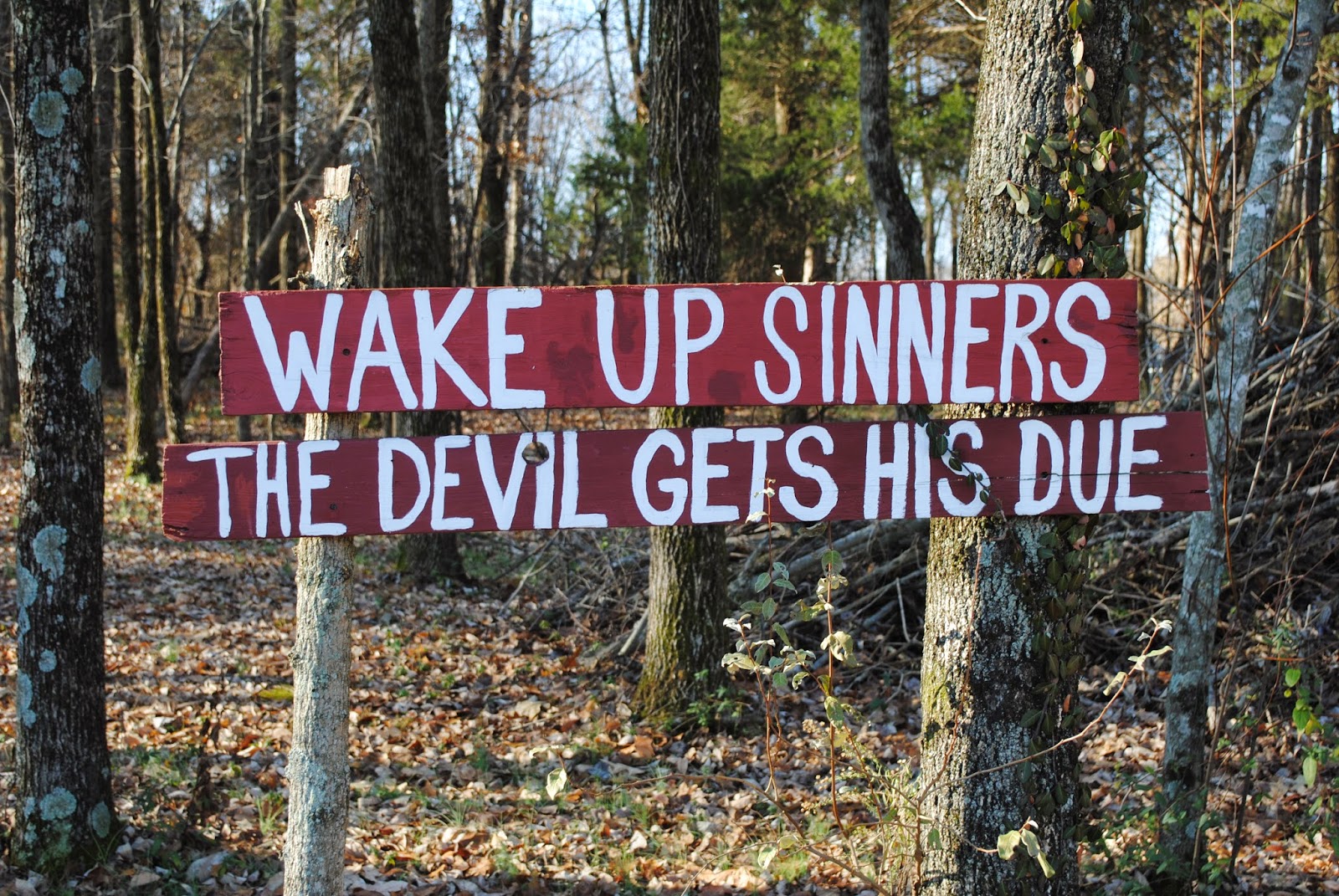 The Carpetbagger: The Hillbilly Gardens