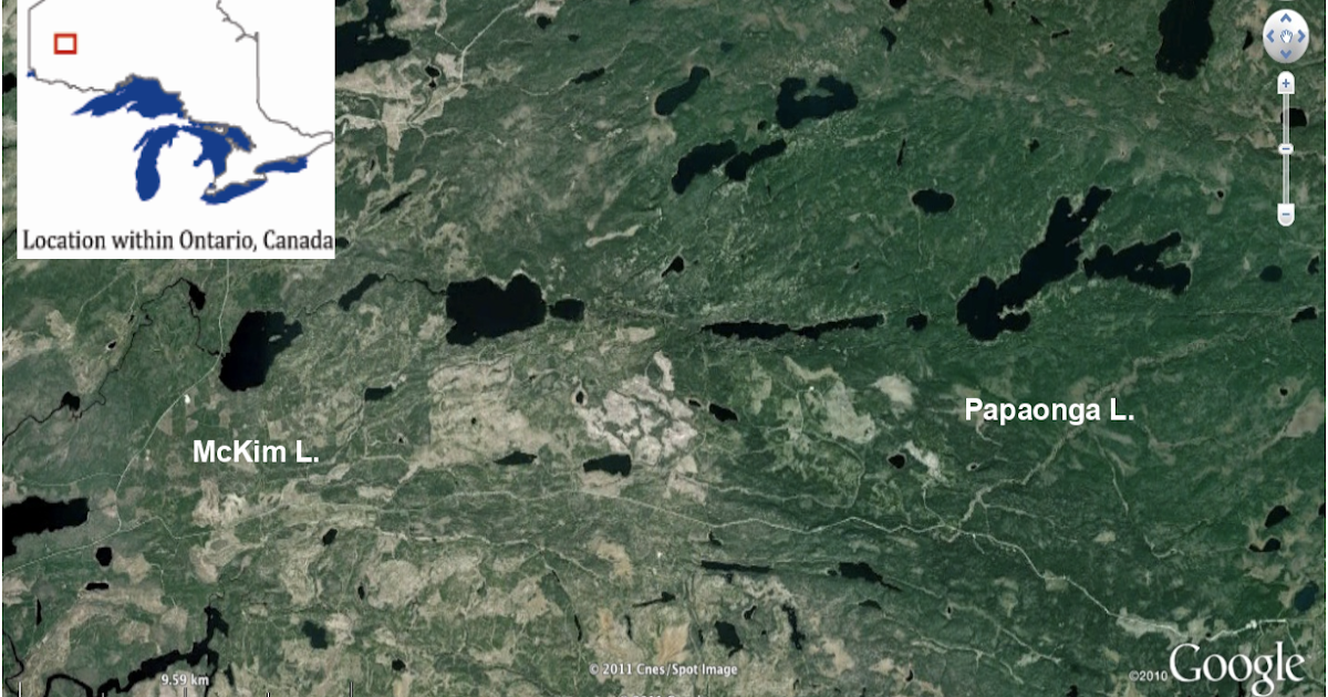 Blue Walleye: The Story of Our Research