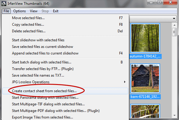 PhotoEffect: How to Create a Contact Sheet in IrfanView (Easy)