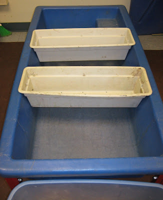 SAND AND WATER TABLES: Horse play