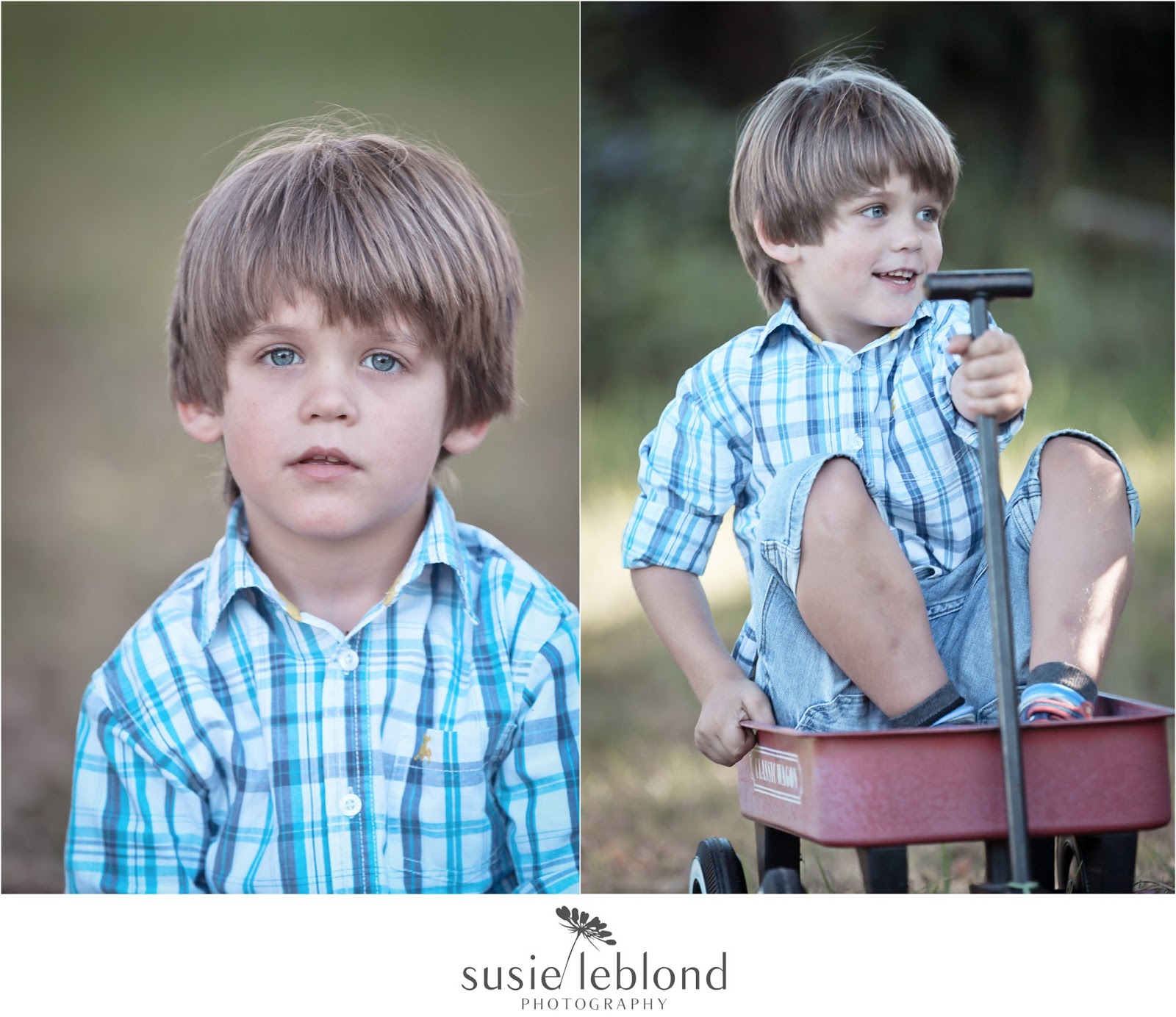 susie leblond photography: Hardiman Family