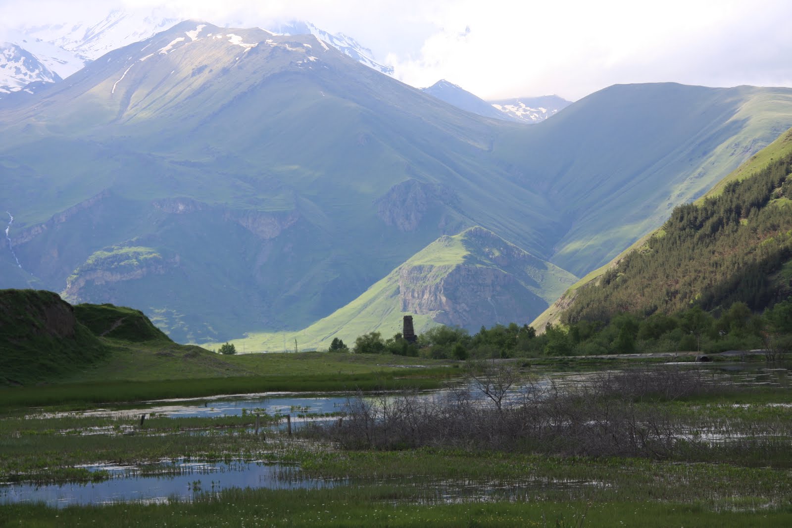 Over there and back again: Georgia