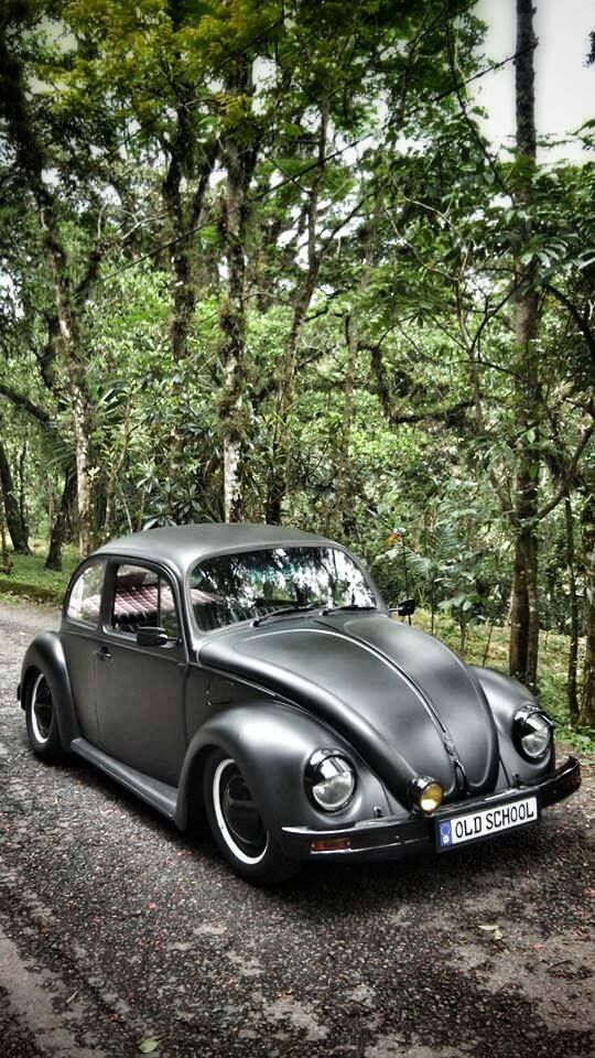 Basic Automotive: Volkswagen Beetle