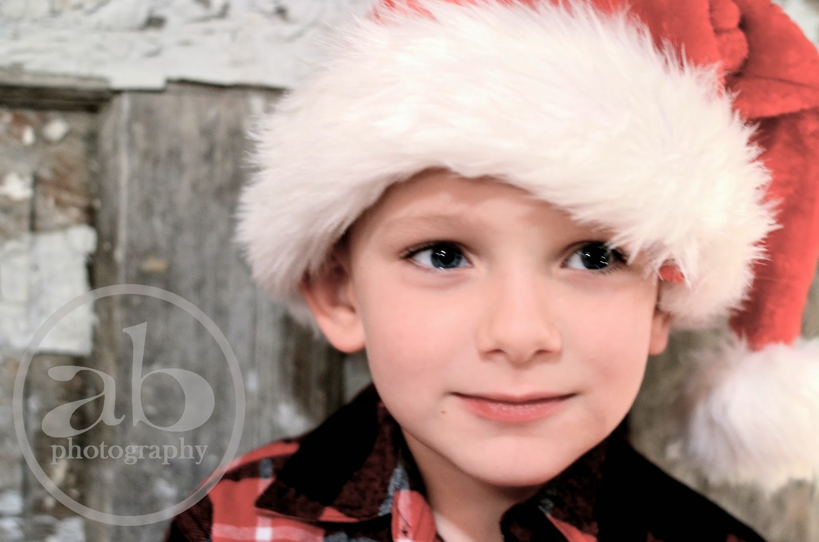 Photography by Amanda Barber