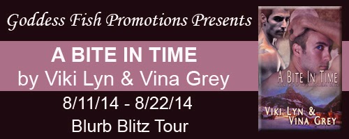 BookLover Sue: Blurb Blitz & Giveaway - A Bite in Time by Viki Lyn ...