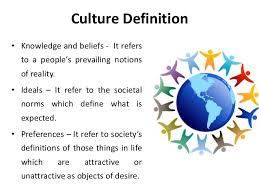 understanding culture society and politics
