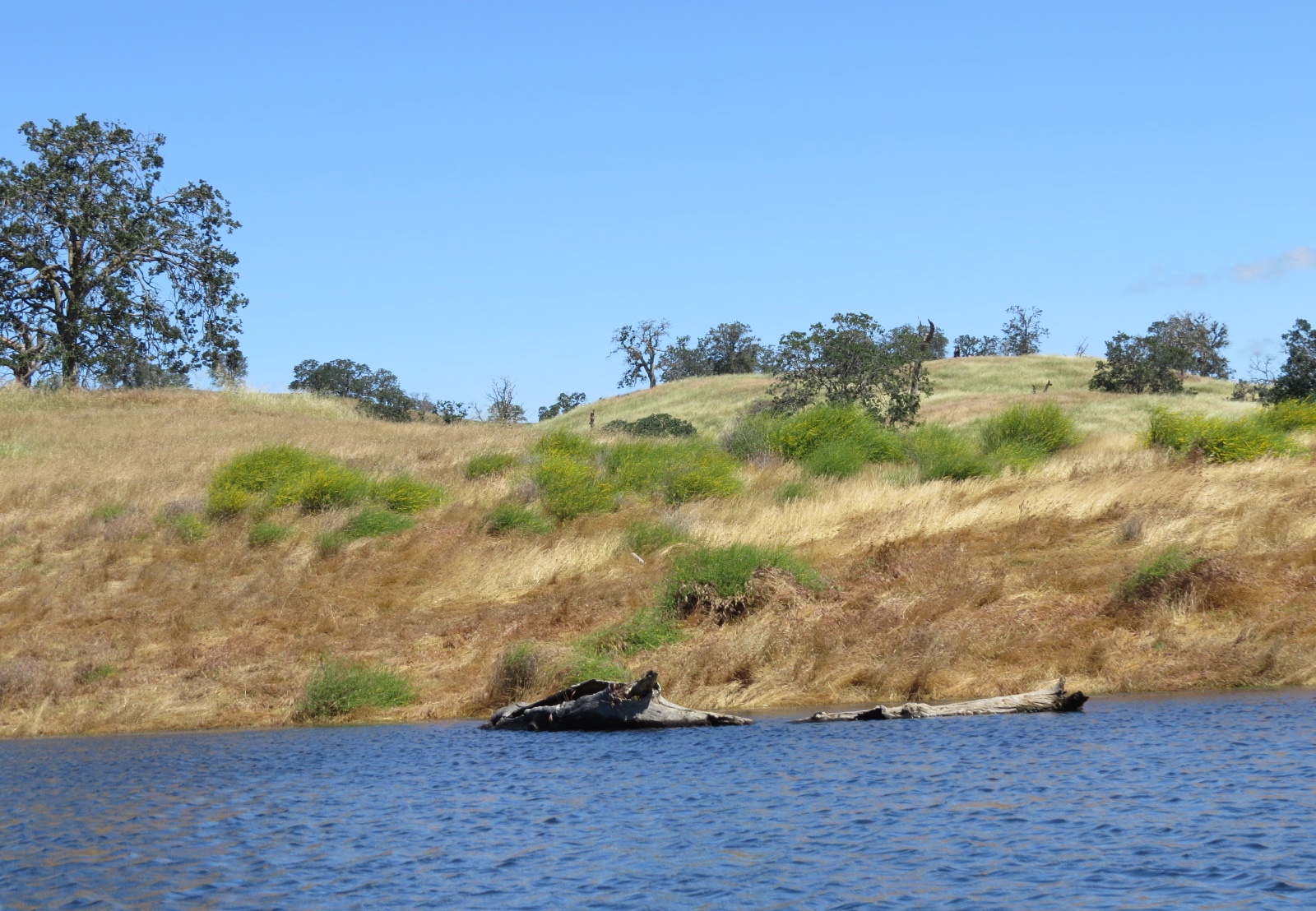 Where's Liz? 2016: Hidden View Campground at Hensley Lake, CA