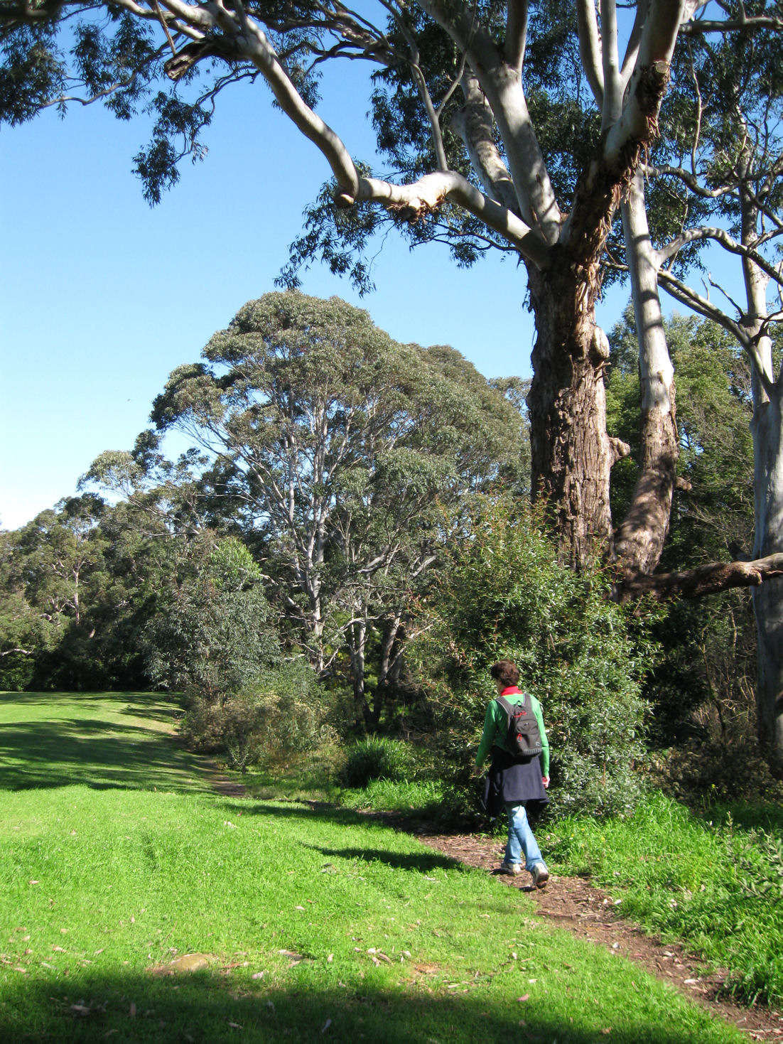 The Ponds Walk | Our Walks