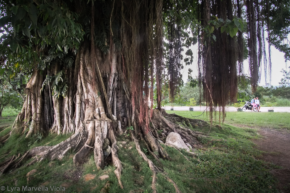 Butuan Daily Photo: Up Close: Banza Church Ruins #2