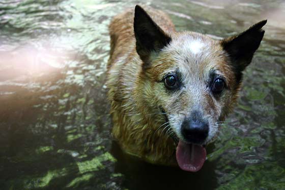 Moist? Sexy? Pants? What Words Make You Wanna Throw Up A Little Bit In ...