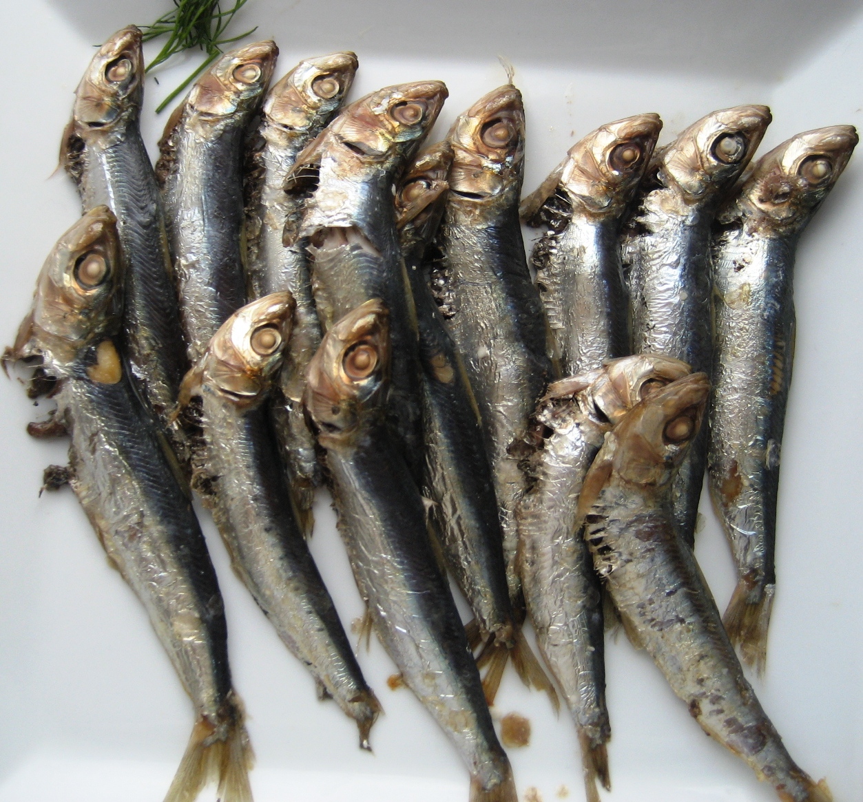 Smag på verden: Grillede sardiner og Tamam salat