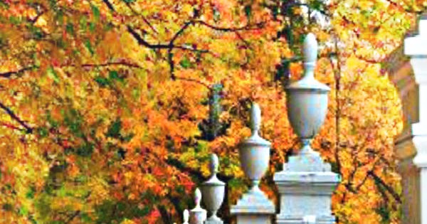 ciao! newport beach: fall according to Emily Bronte