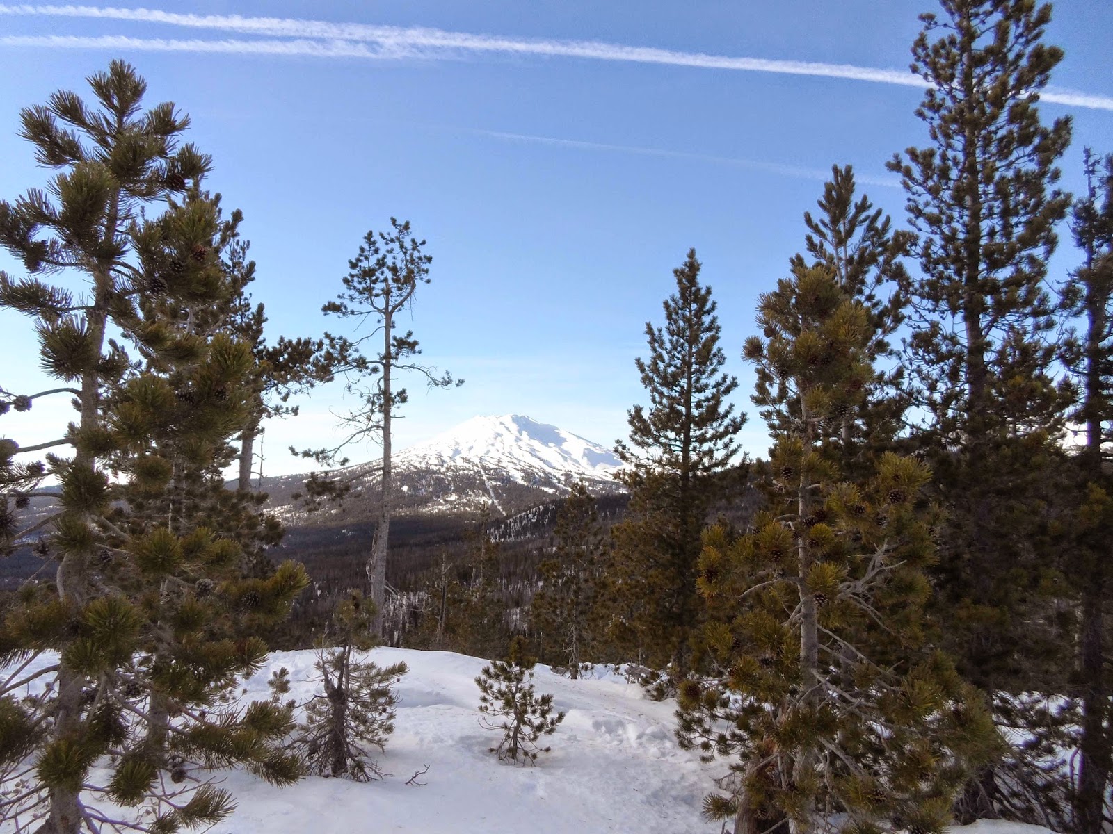 Liz and Brad's Big Adventures: Vista Butte (1/1/15)