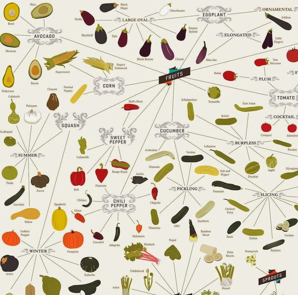 MEDITATII COPII CONSTANTA: fruits and vegetables - mind maps and exercises