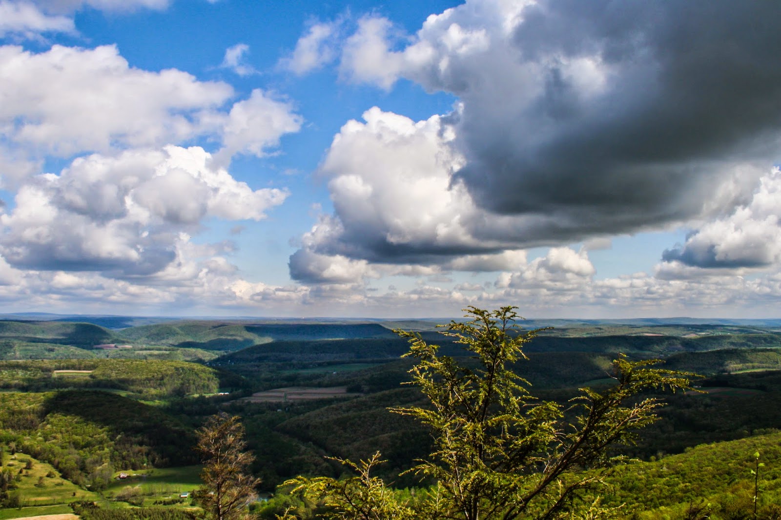 Natural Mid-Atlantic : Hawk Mountain Sanctuary - River of Rocks Circuit ...