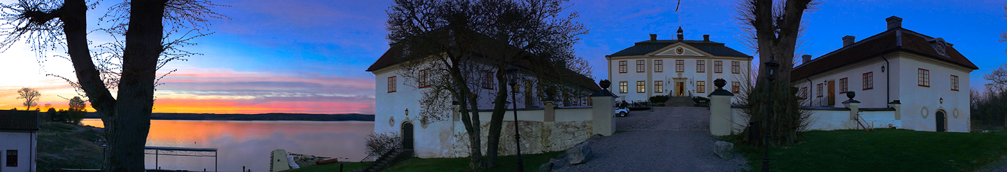 The Friedman Archives Blog: A busy month...