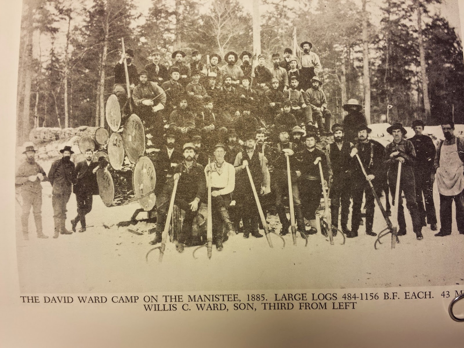 DuSyl Family Lore & History: Lumber Jacks & Loggers " White Pine Era ...