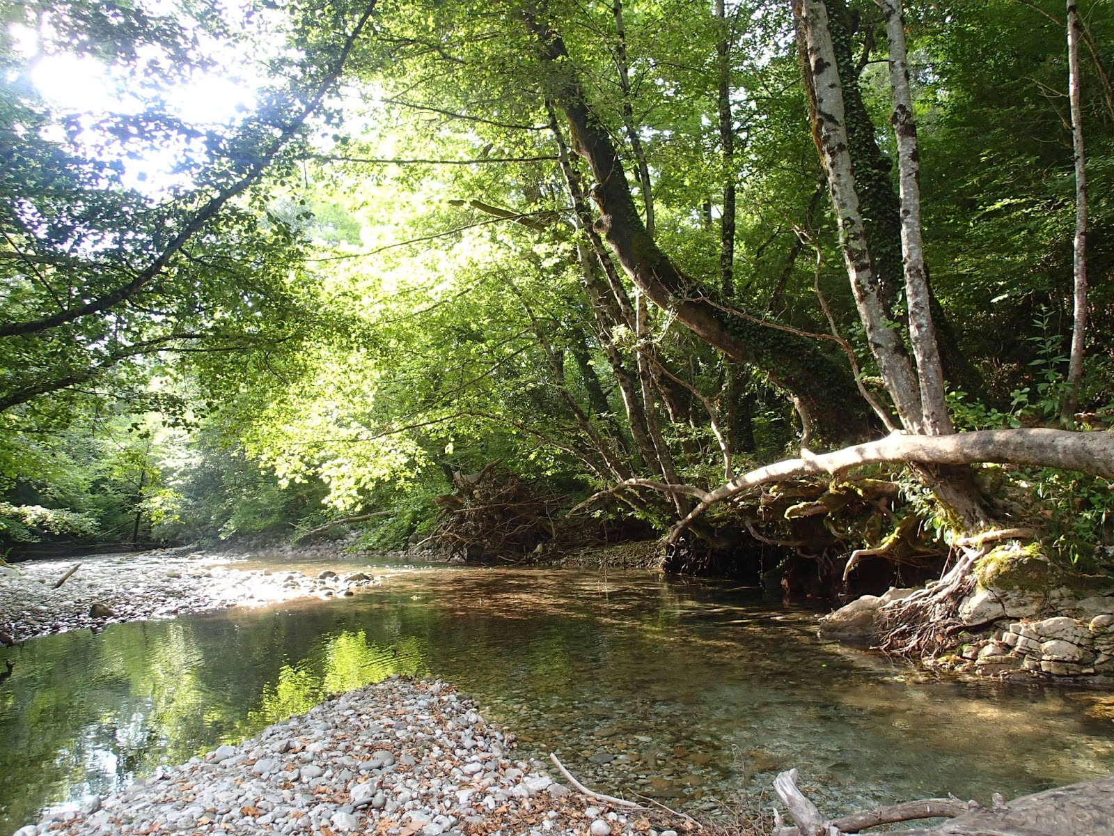 Athens Nature Journal: "Reference river" in Epirus Greece