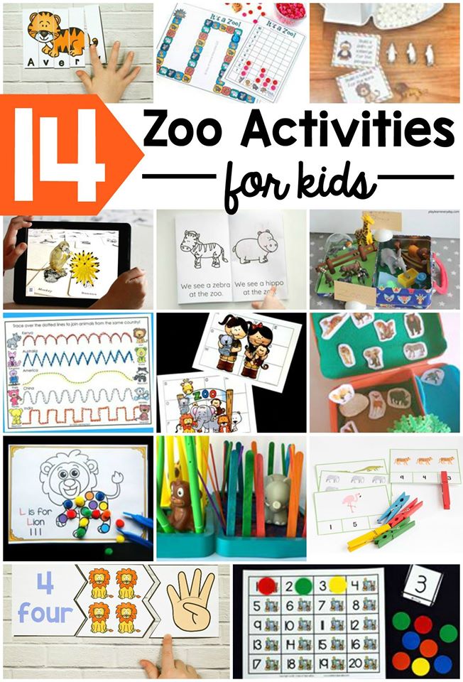 Zoo Themed STEM Activity | Sara J Creations