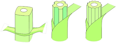 Fleurs sauvages Renaud: La tige