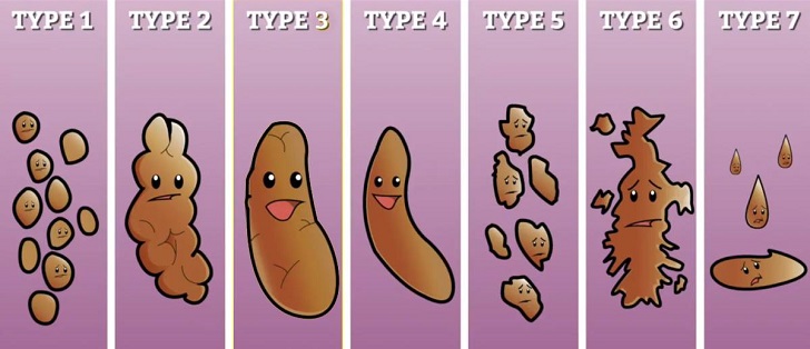 LONGAVIDALONGA: A FORMA DAS FEZES PODE REVELAR DOENÇAS E O ESTADO DE ...