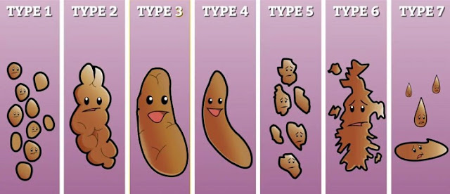 LONGAVIDALONGA: A FORMA DAS FEZES PODE REVELAR DOENÇAS E O ESTADO DE ...