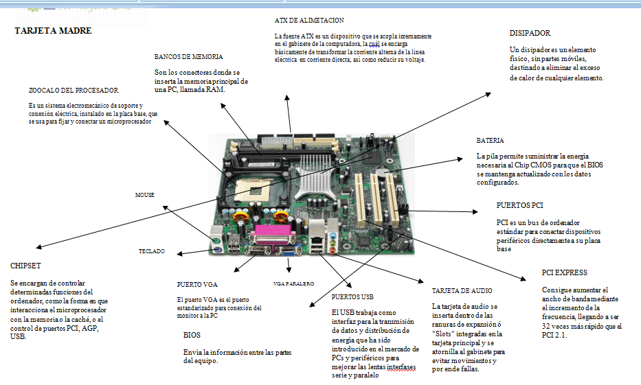 Noriega's Inc.: FUNCIONES, PARTES, DISTRIBUCION DE CADA COMPONENTE DE ...