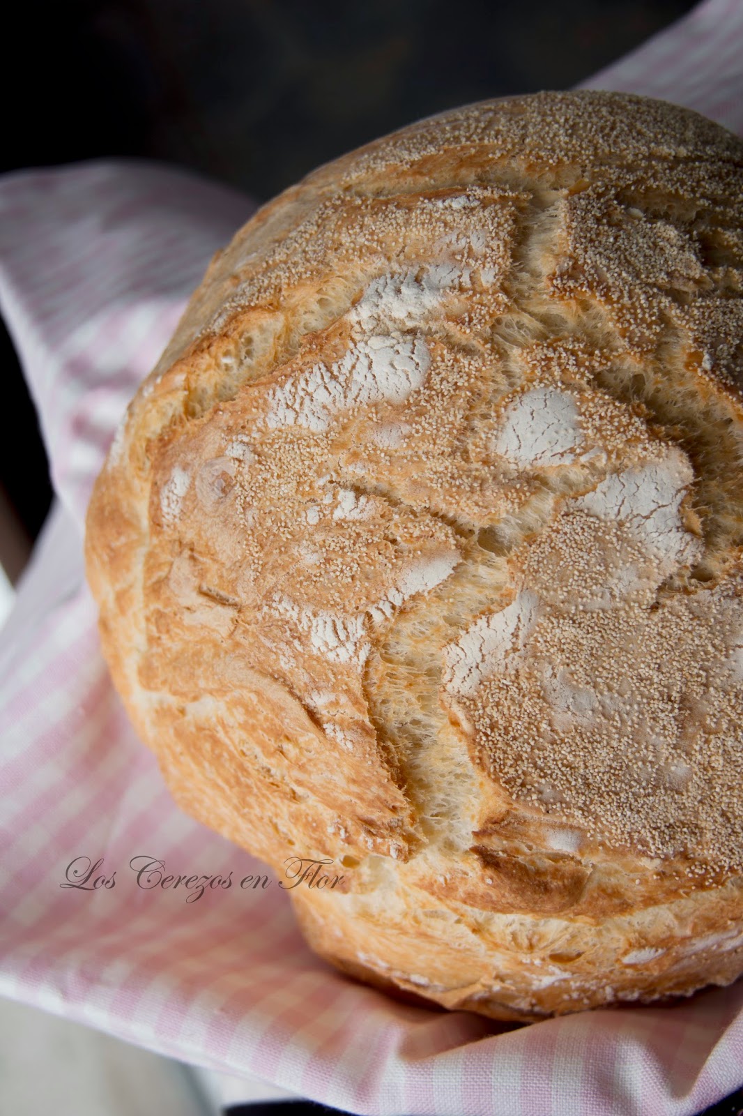 Los cerezos en flor: Pa de Pagès, Terrina de Pa de Pagès y las Cookings ...