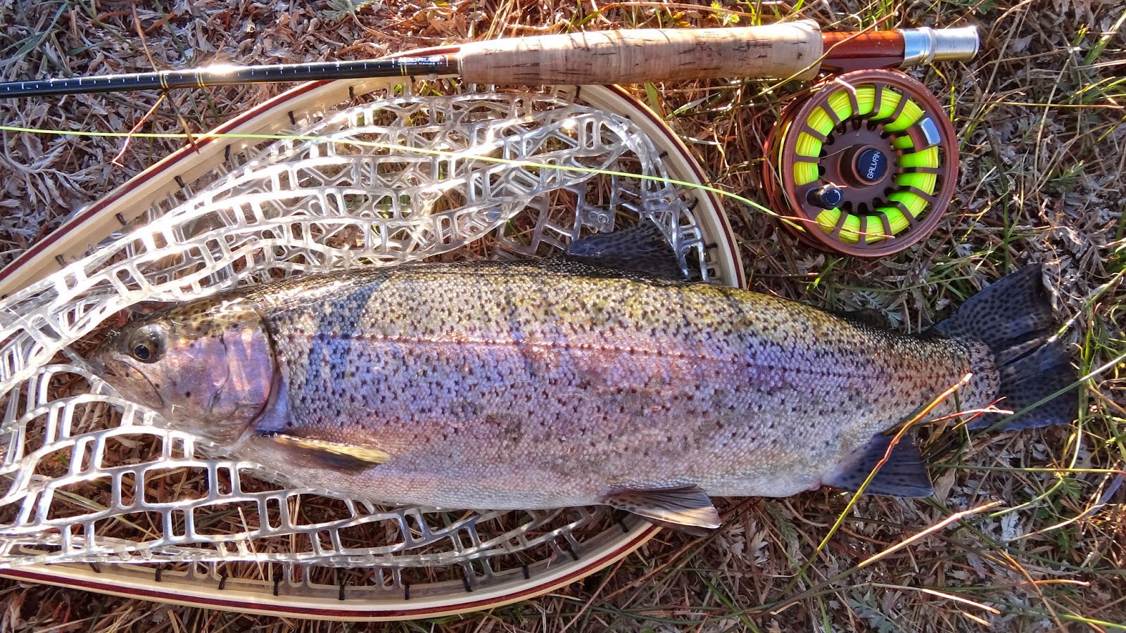 The Fly Syndicate: The Ruby Marshes - An Eastern Nevada Gem